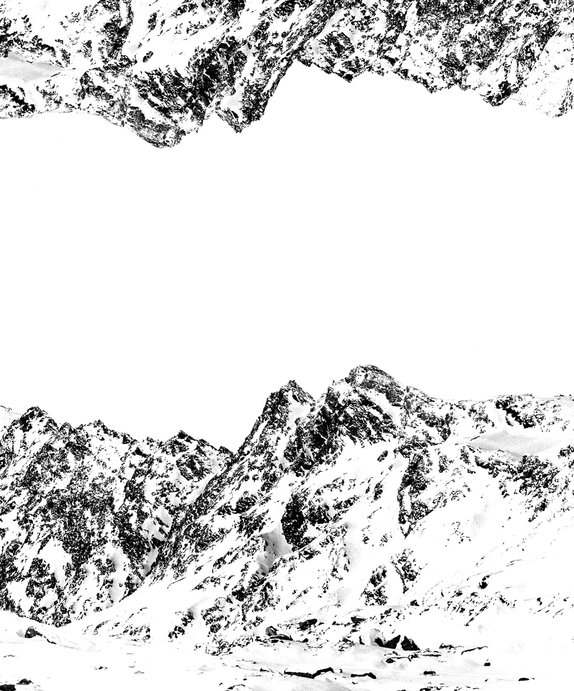 Peast Performance: Innovatoren der veganen Sporternährung